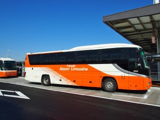 Deep Japan: Magical Cat Bus Ride To The Airport